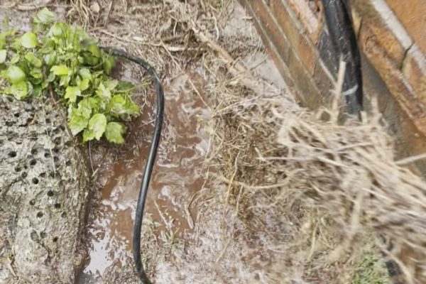 What Causes Blocked Drains and How to Prevent Them - Plumb Well Solutions